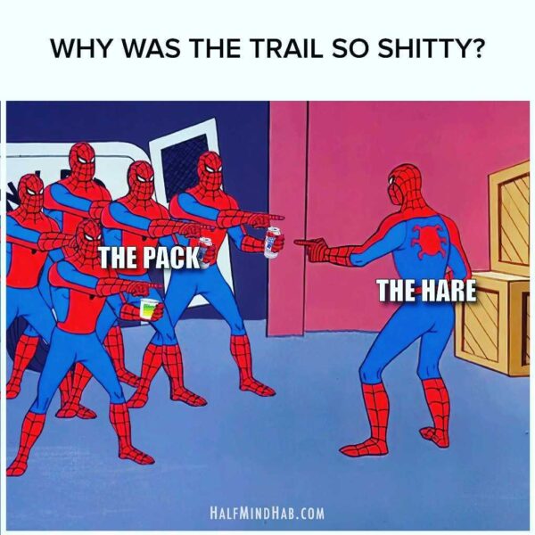 Hashing Memes – Half Mind Hab