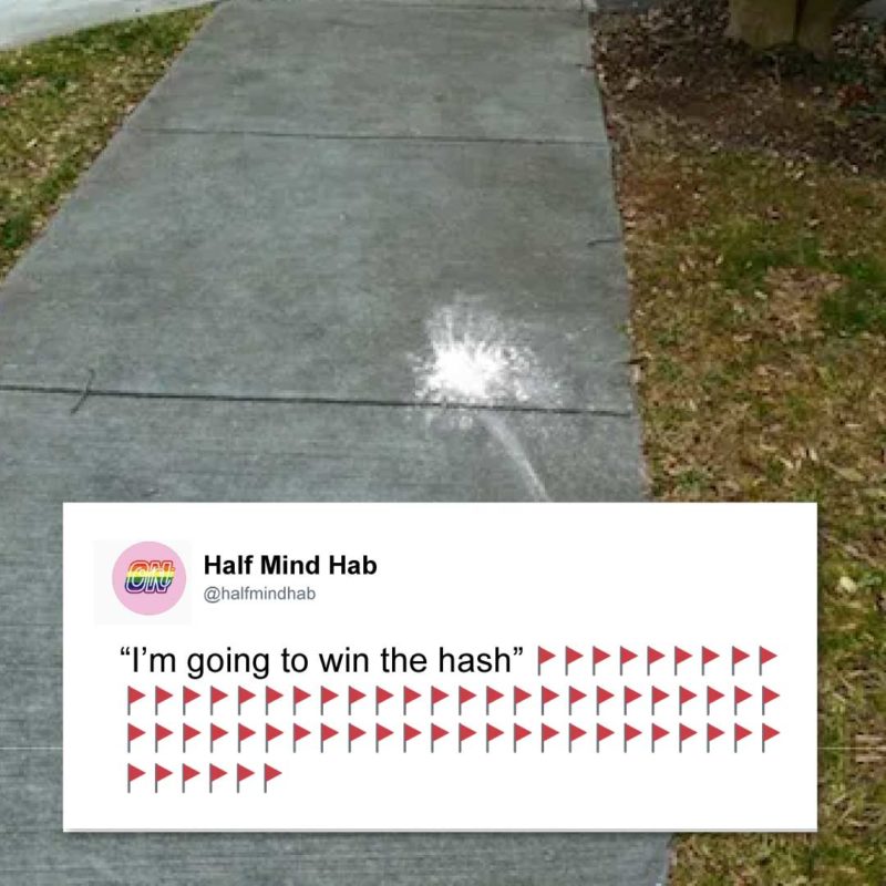 Hashing Memes – Half Mind Hab